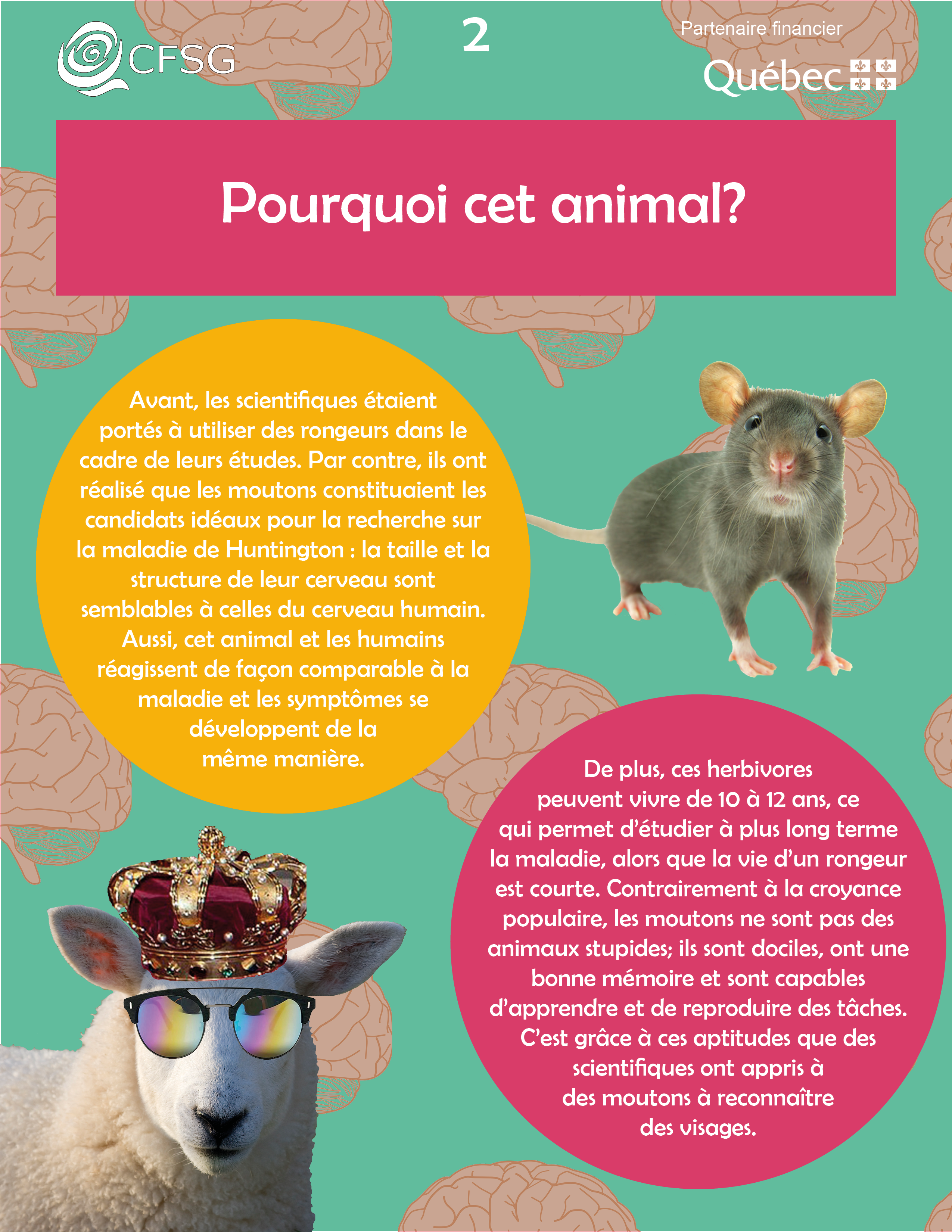 Questions et réponses insolites sur la science!